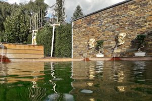 Galerie Schwimmteiche / Naturpools | Garten- und Landschaftsbau vom Meisterbetrieb in Saarlouis ...